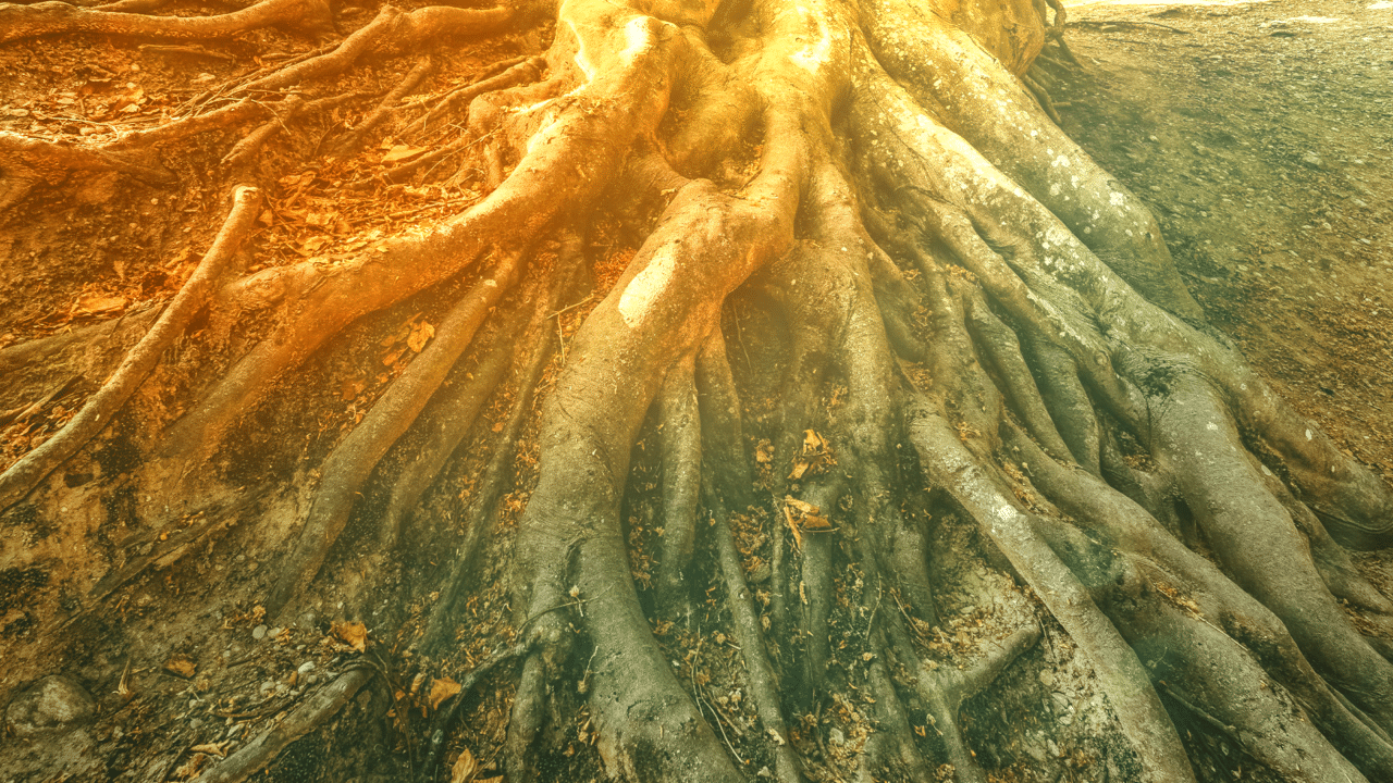 The Soul Alchemist - Matt Licata, PhD