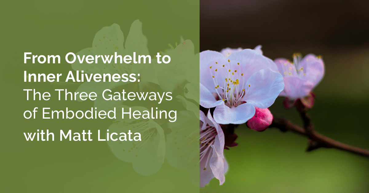 From Overwhelm to Inner Aliveness - Matt Licata, PhD